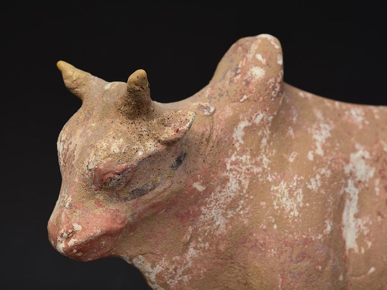 Northern Qi Dynasty, Antique Chinese Pottery Standing Ox Figurine For ...