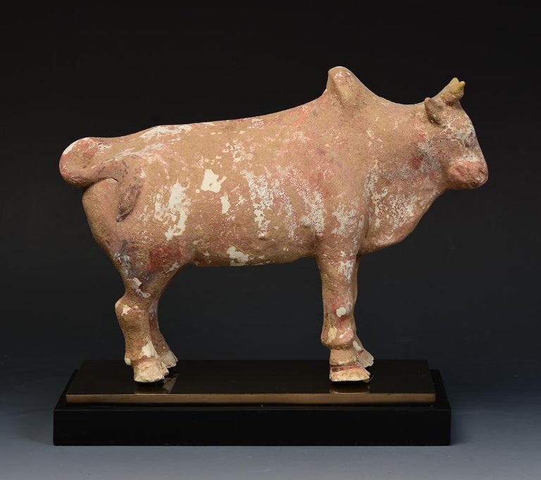 Northern Qi Dynasty, Antique Chinese Pottery Standing Ox Figurine For ...