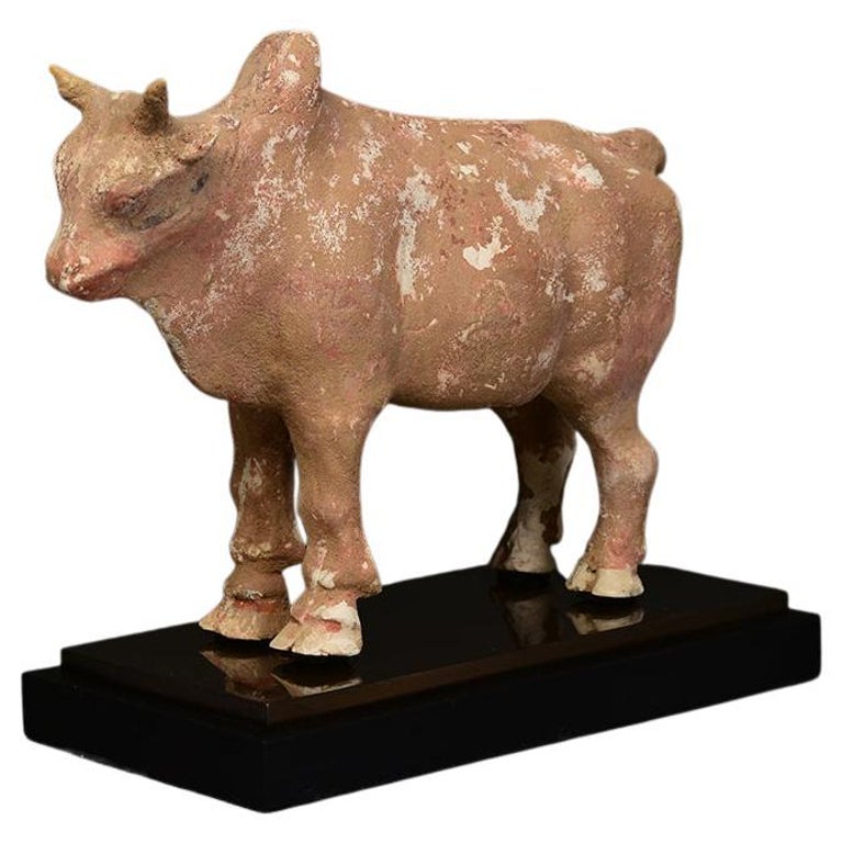 Northern Qi Dynasty, Antique Chinese Pottery Standing Ox Figurine For ...