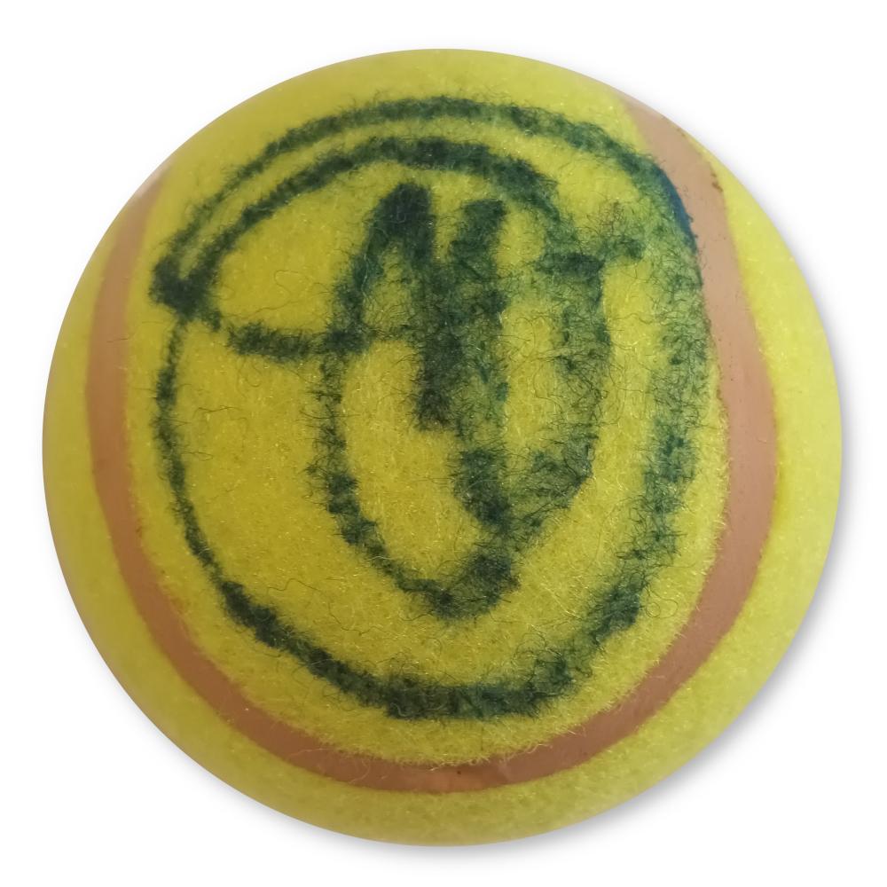 Novak Djokovic signed tennis ball For Sale at 1stDibs | novak djokovic ...