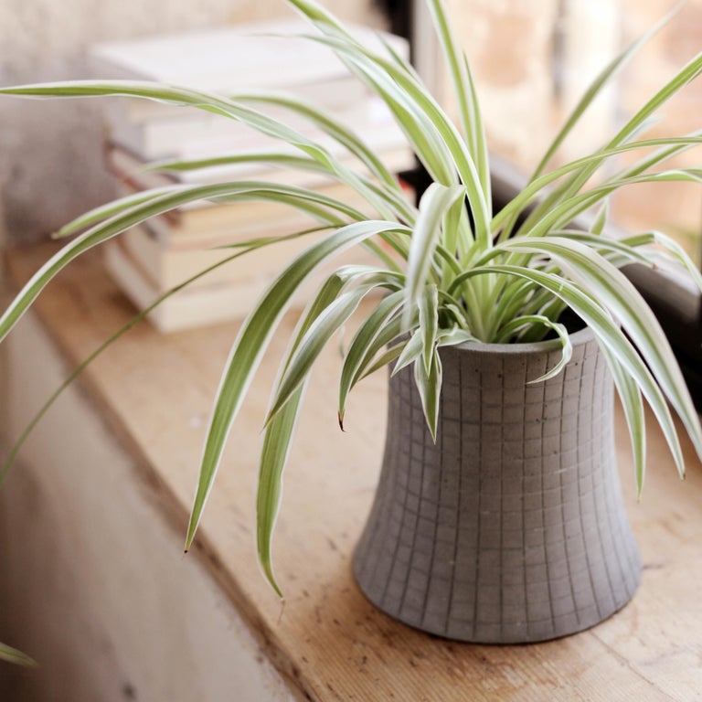 Nuclear Plant 160 Flower Pot For Sale at 1stDibs