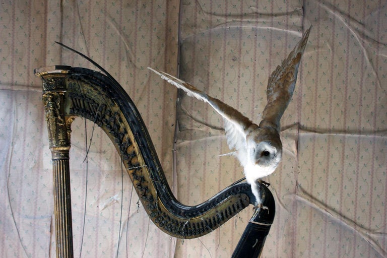 O Ruin’d Harp, Unique at 1stDibs