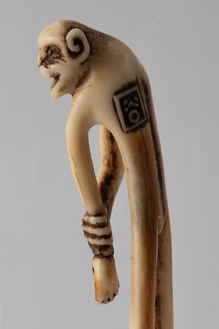 Obi-Hasami Representing a Long-Legged Monkey at 1stDibs