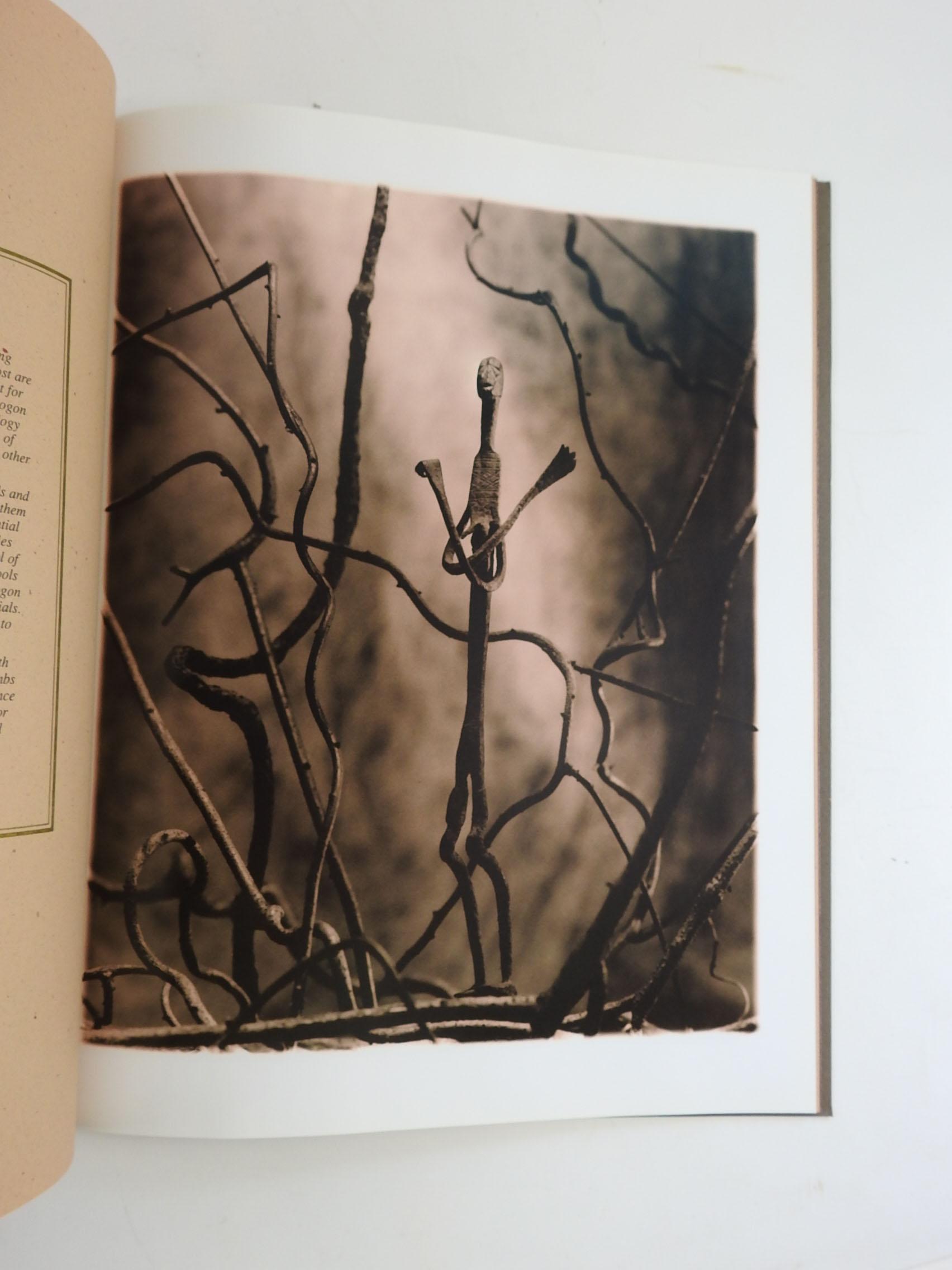 Objects of Myth and Mystery by Corson Hirschfeld Book For Sale at 1stDibs