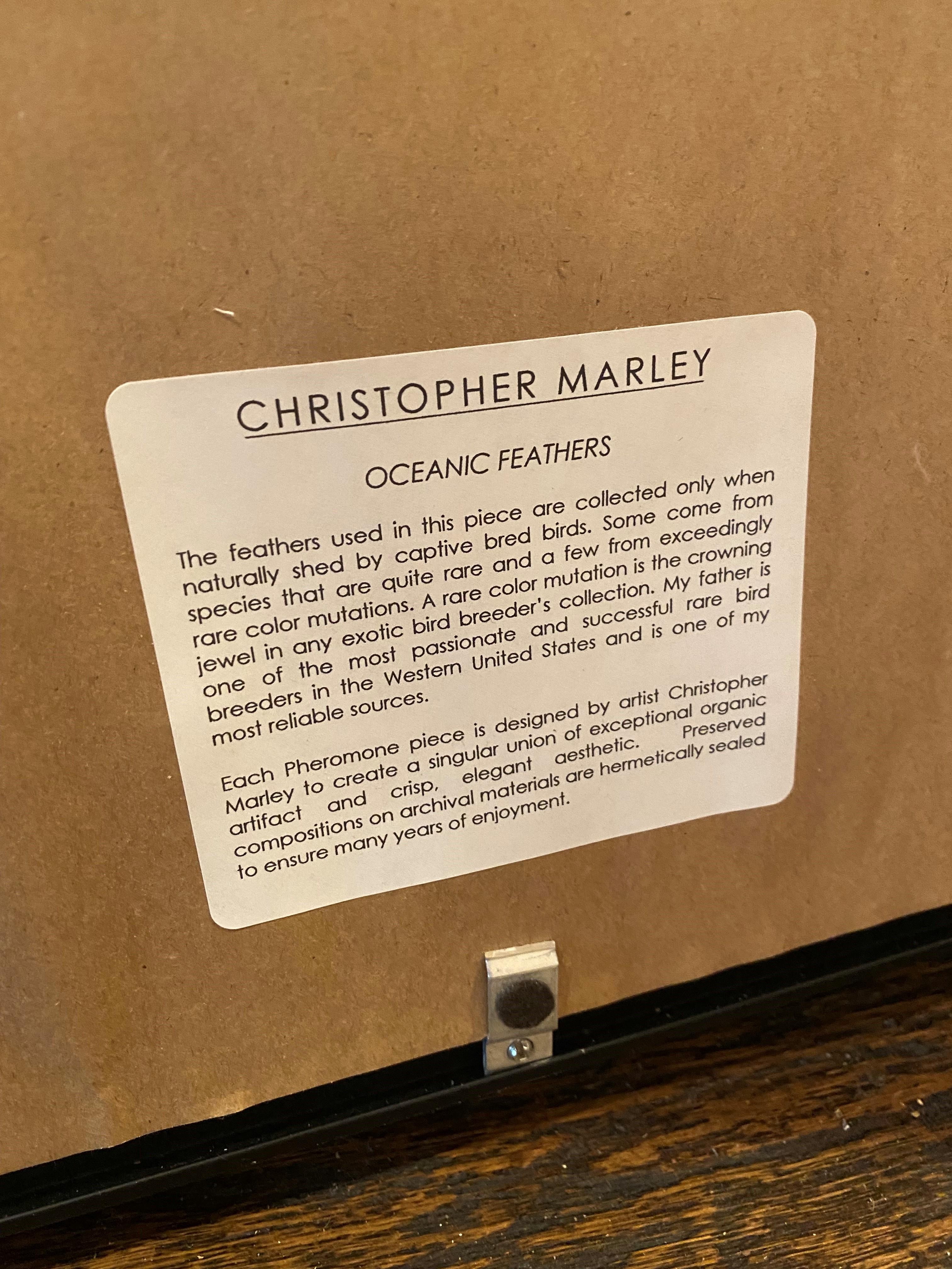 Oceanic Feathers on Graphite by Christopher Marley at 1stDibs ...