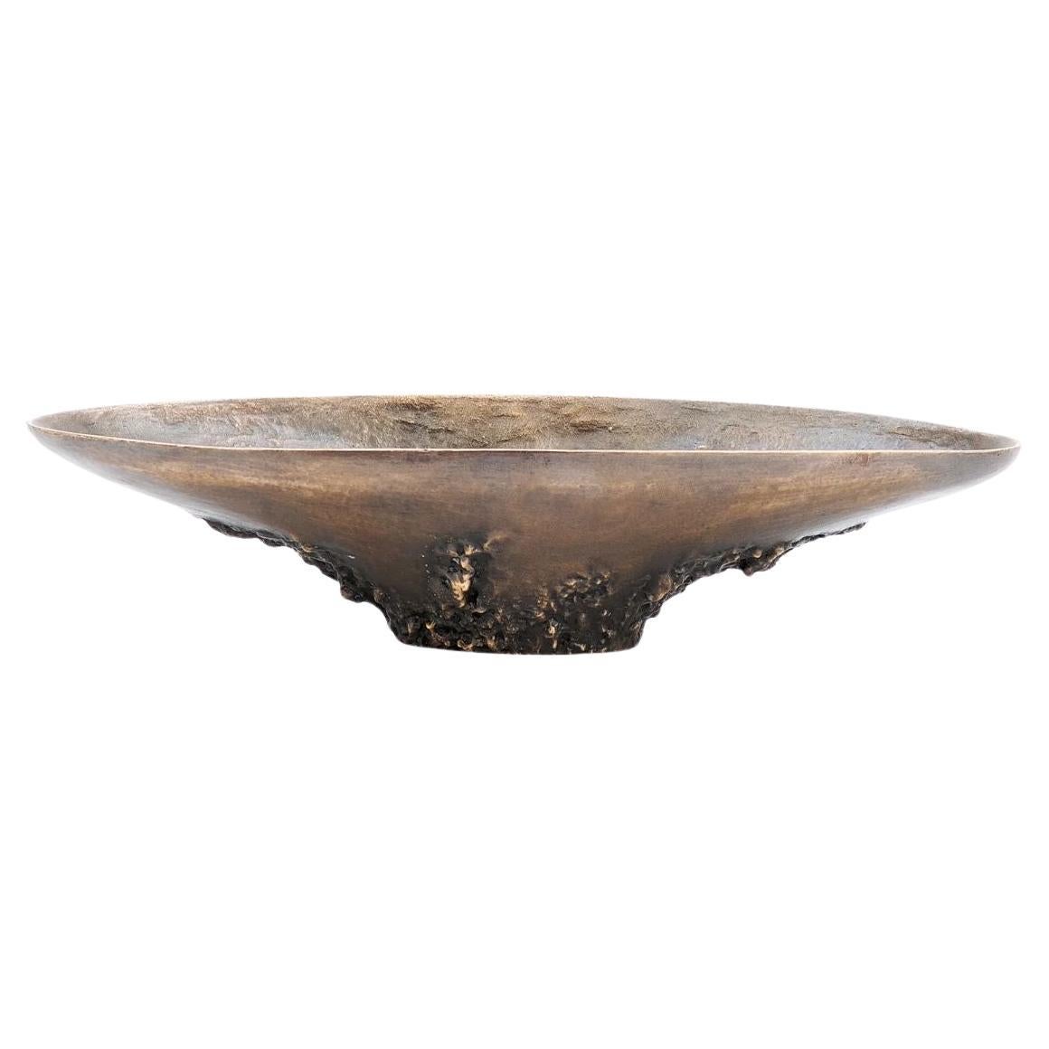 Vibration Bowl by Etienne Bailleul at 1stDibs