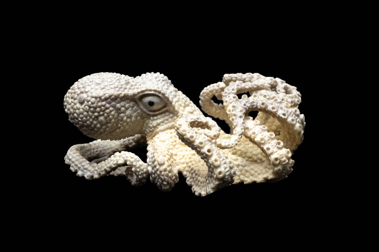 Octopus Moose Antler Carving at 1stDibs