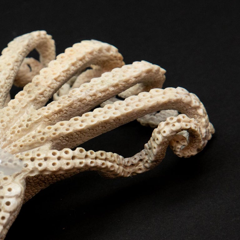Octopus Moose Antler Carving at 1stDibs