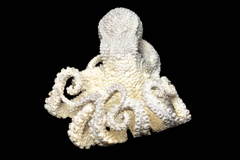 Octopus Moose Antler Carving at 1stDibs