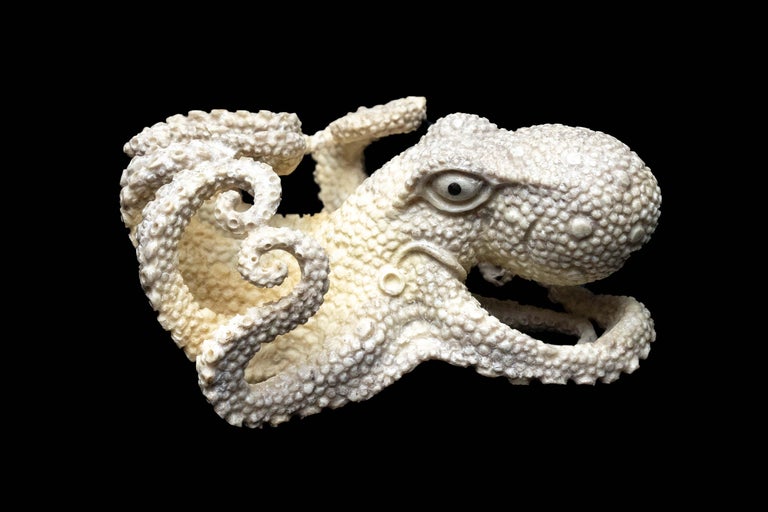 Octopus Moose Antler Carving at 1stDibs