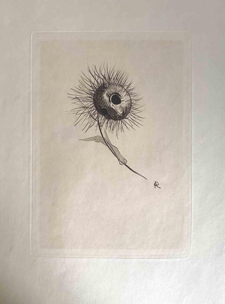 Illustration from the series "Les Fleurs du Mal" after Odilon Redon ...