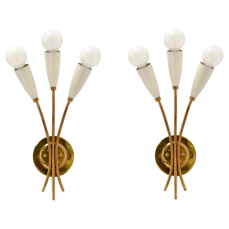 Off-White 1950s Botanical Sconces For Sale at 1stDibs