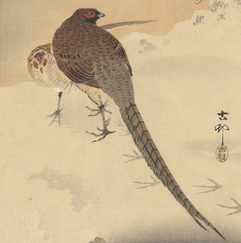 Ohara Koson - Koson Ohara, Couple of Pheasants, Nature, Snow, Pine ...