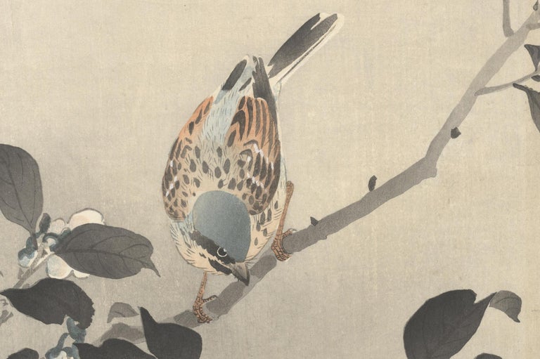 Ohara Koson - Ohara Koson, Original Japanese Woodblock Print, Camelia ...