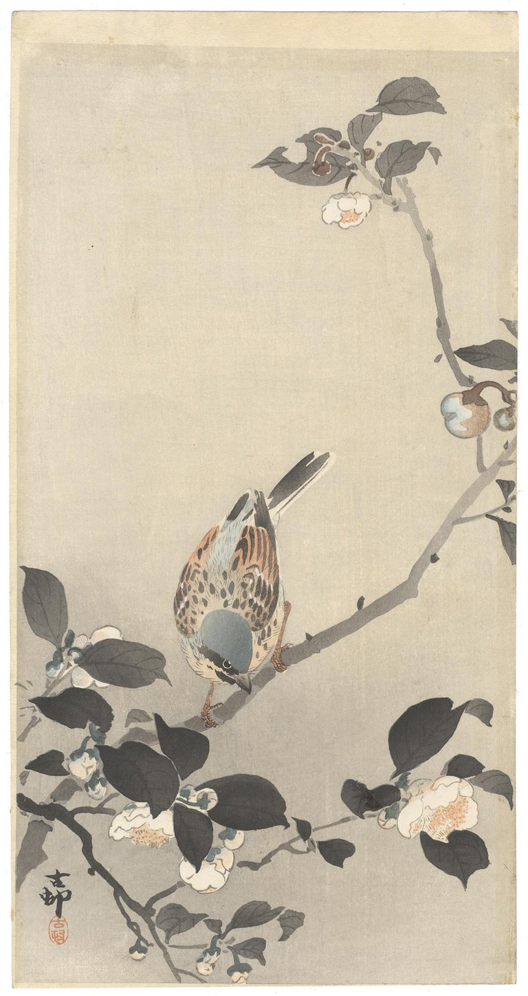 Ohara Koson - Ohara Koson, Original Japanese Woodblock Print, Camelia ...