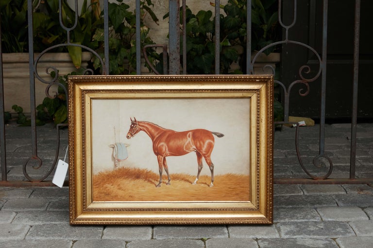 Oil on Board Horse Painting Titled the Saint Prize Hunter of England ...
