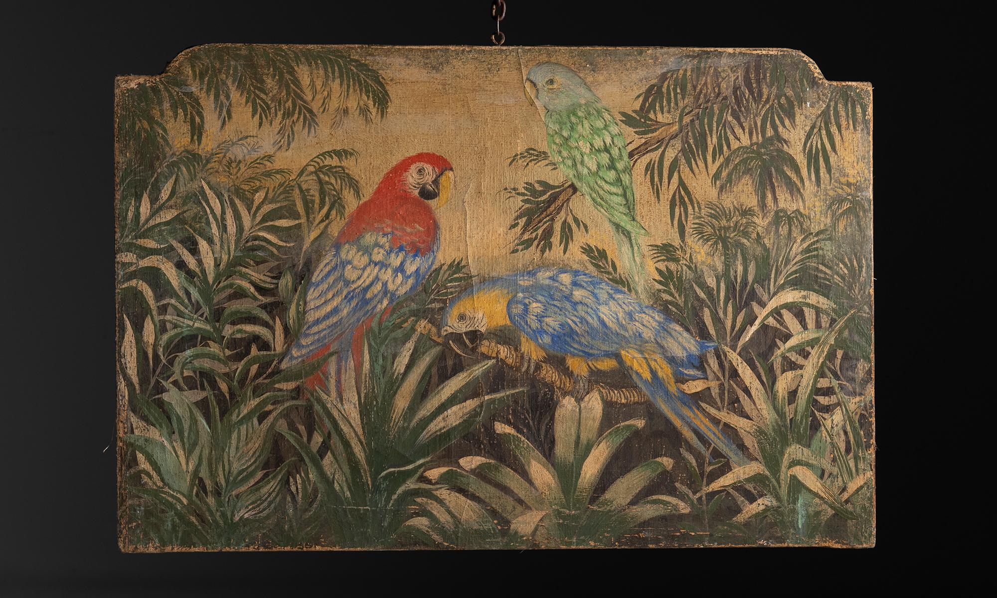 Oil Painting of Parrots, France circa 1900 at 1stDibs