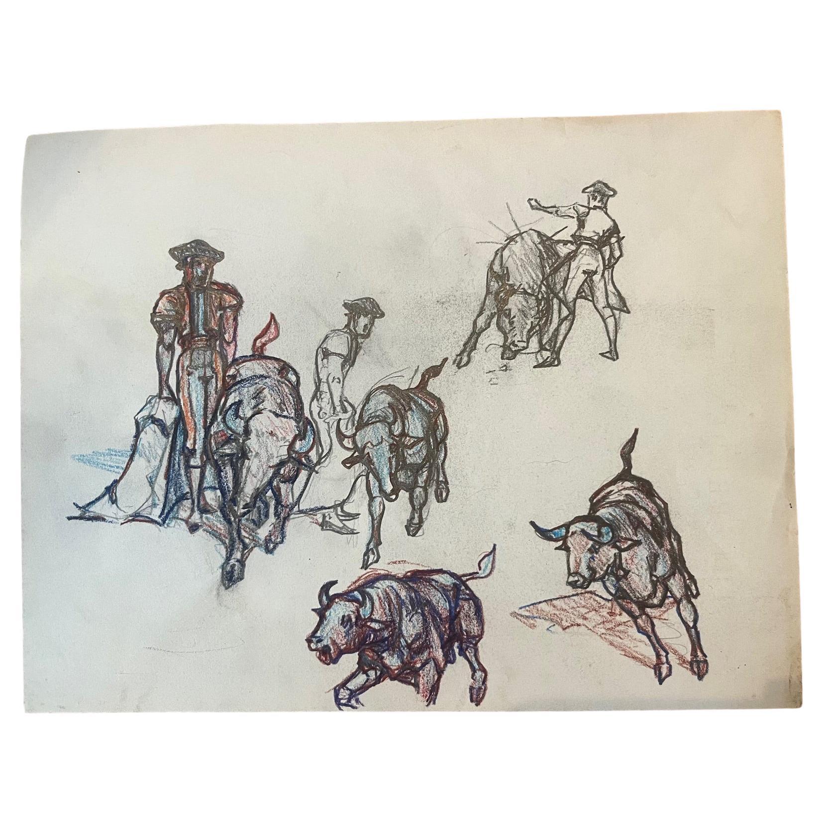Pencil Sketch of Bull in the Ring on Paper For Sale at 1stDibs