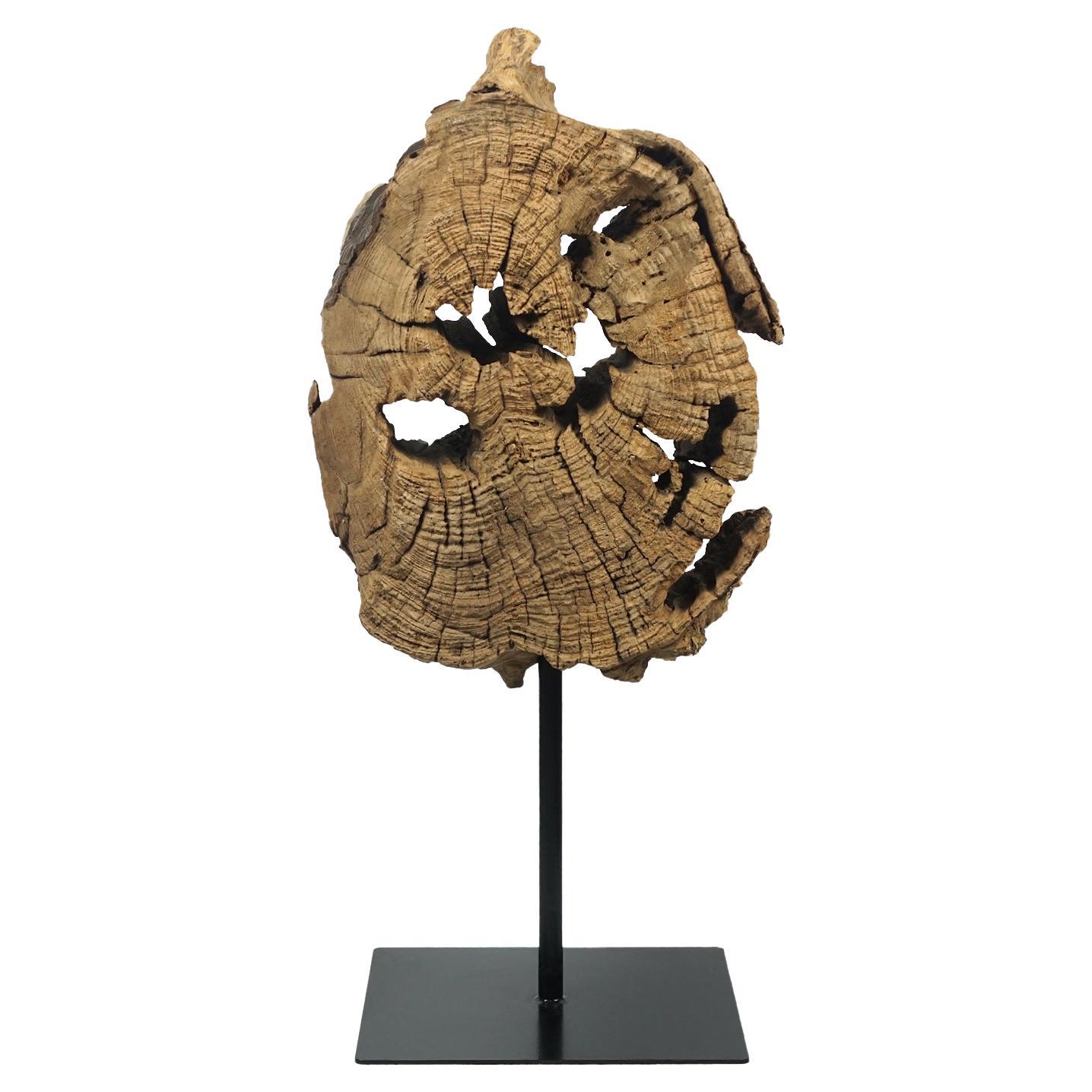 Old Eroded Wood Sculpture on an Iron Stand For Sale at 1stDibs