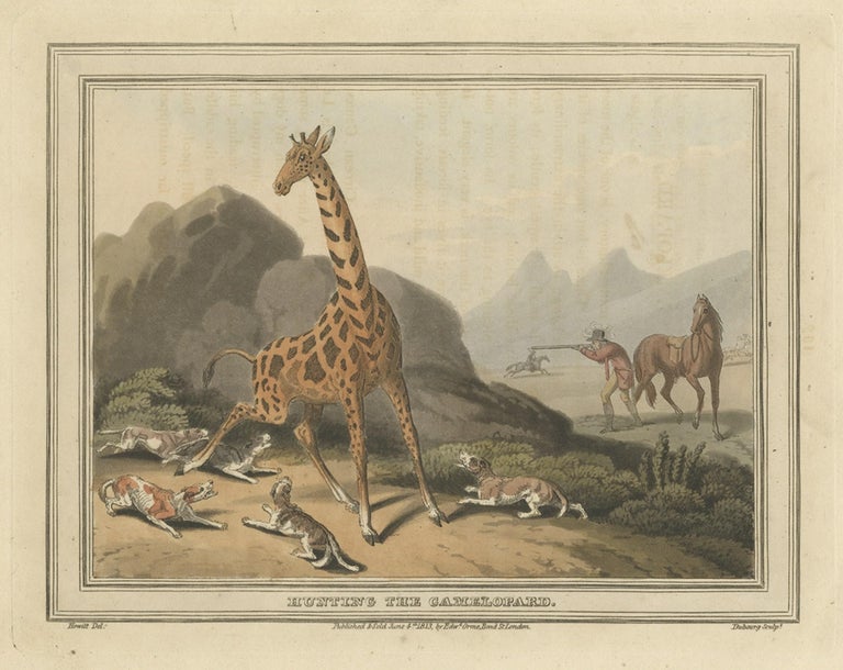 Old Hunting Scene of the 'Camelopard', a Name Often Used for a Giraffe ...