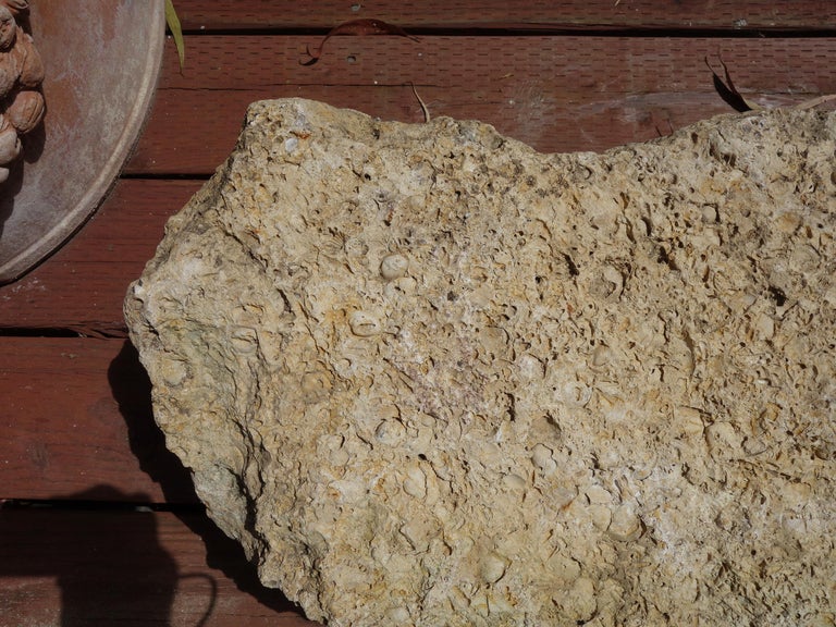 Old Italian Primitive Fossil Stone Trough Hand Carved from Ancient ...