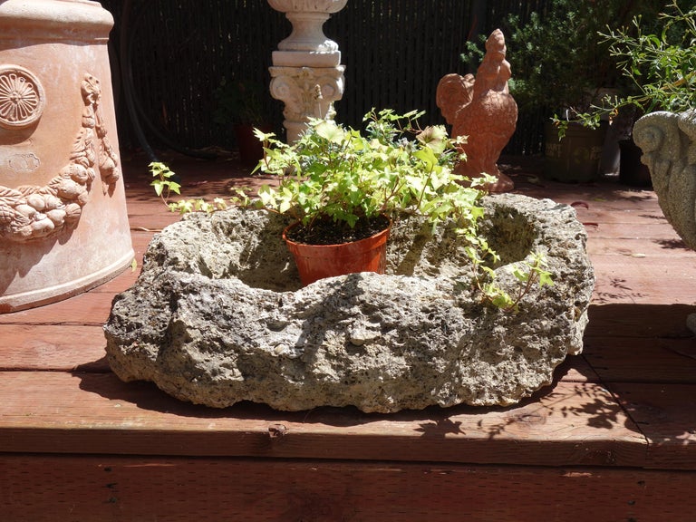 Old Italian Primitive Fossil Stone Trough Hand Carved from Ancient ...