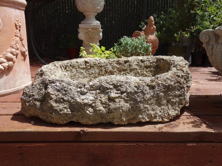 Old Italian Primitive Fossil Stone Trough Hand Carved from Ancient ...