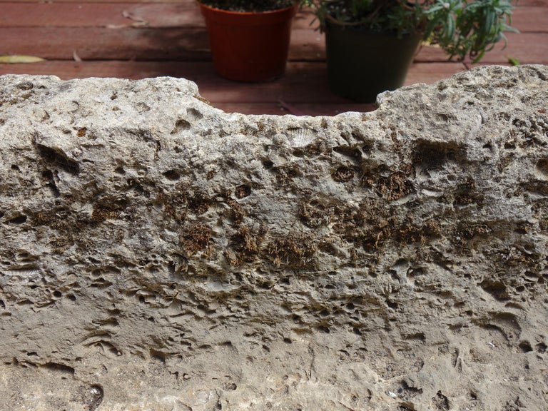 Old Italian Primitive Fossil Stone Trough Hand Carved from Ancient ...