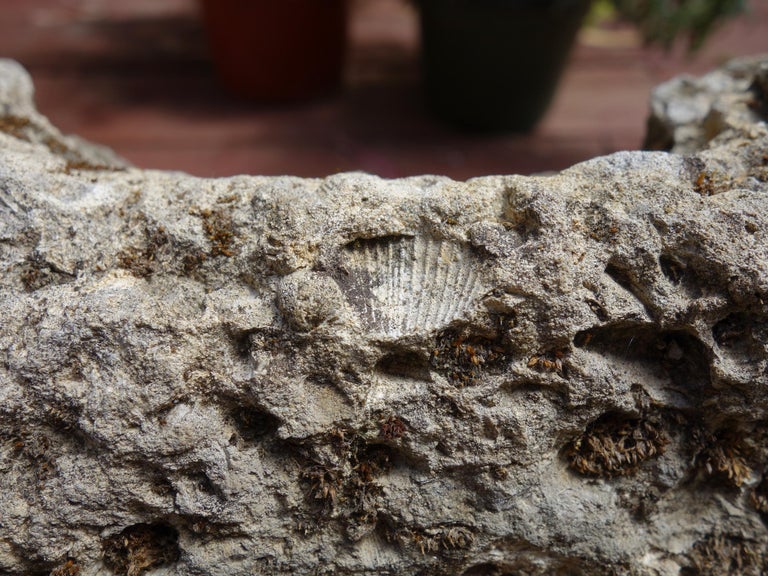 Old Italian Primitive Fossil Stone Trough Hand Carved from Ancient ...