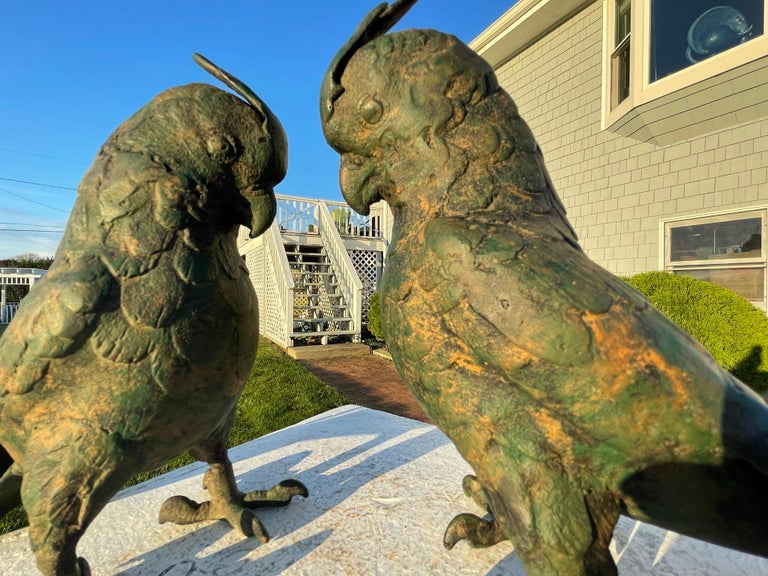 Old Japan Pair Magnificent Bronze Cockatoo Parrots at 1stDibs