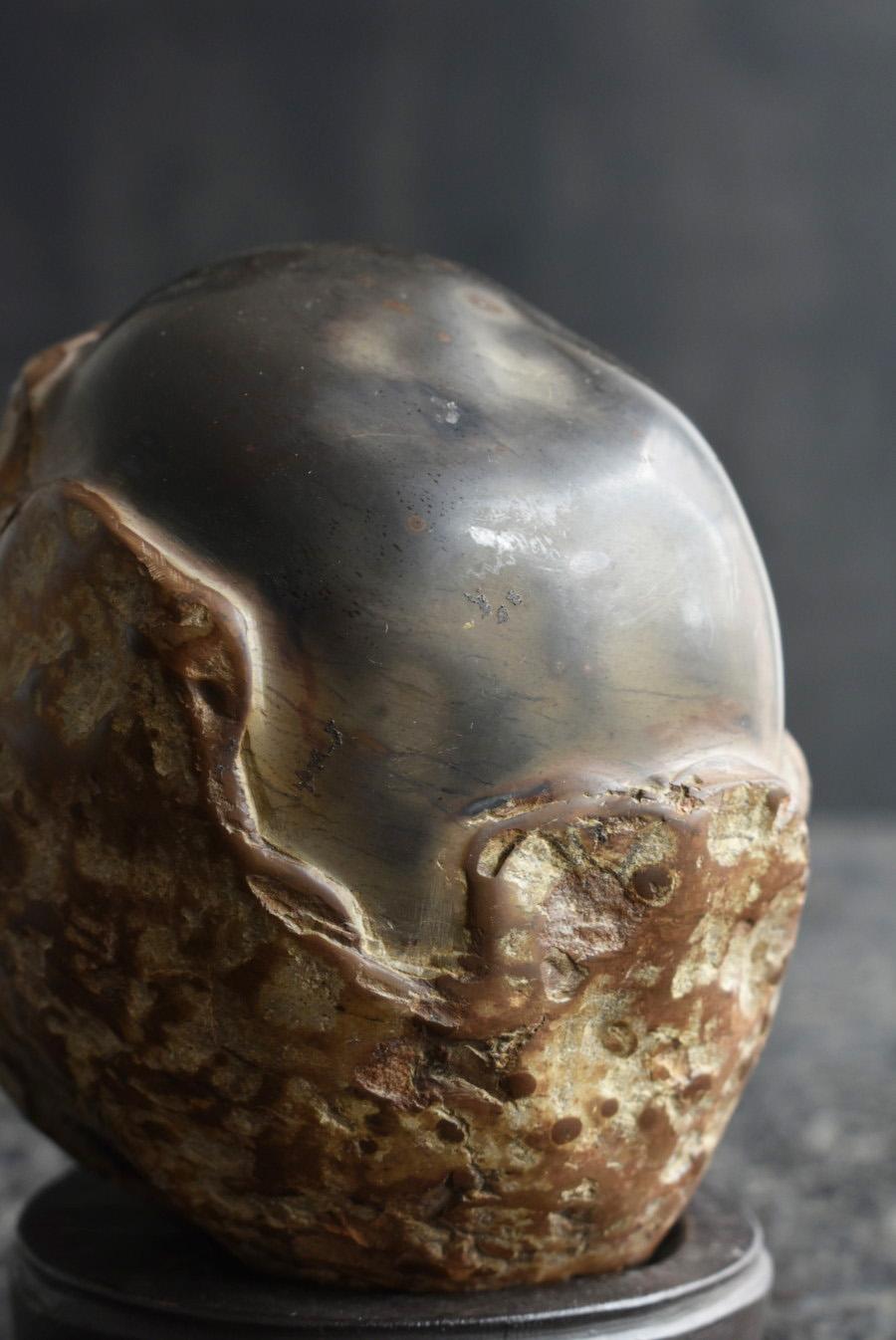 Old Japanese Scholar's Stone/Oval Shaped Beautiful Curved Appreciation ...