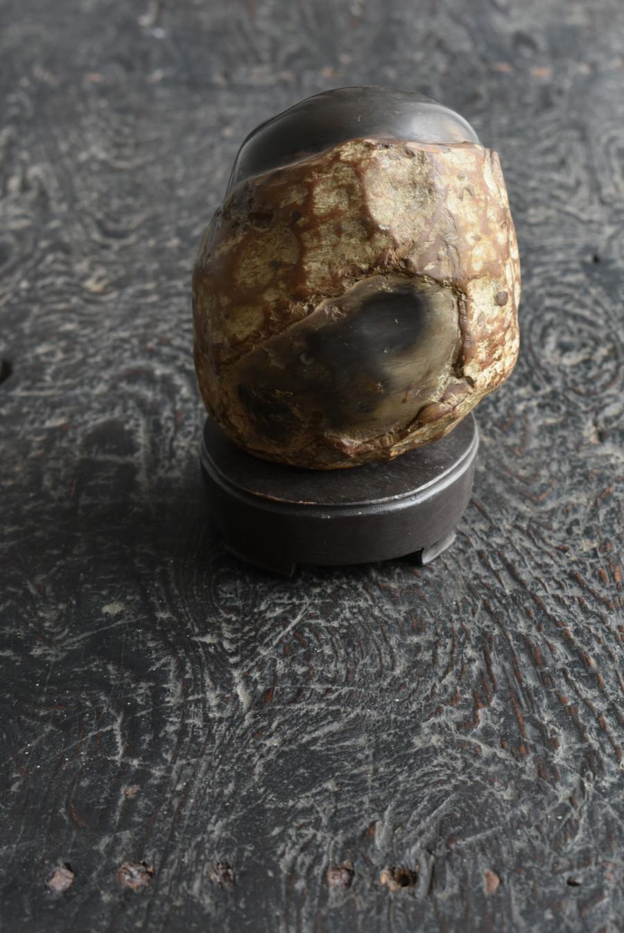 Old Japanese Scholar's Stone/Oval Shaped Beautiful Curved Appreciation ...