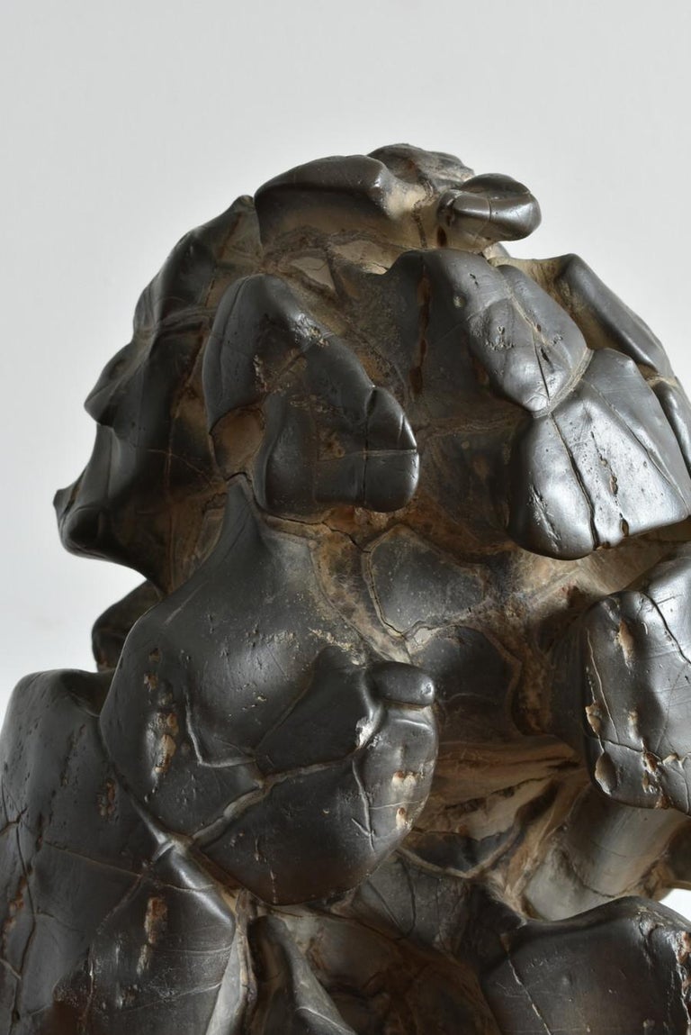 Old Japanese Scholar's Stone/Tortoise Shell Type Stone/Appreciation ...