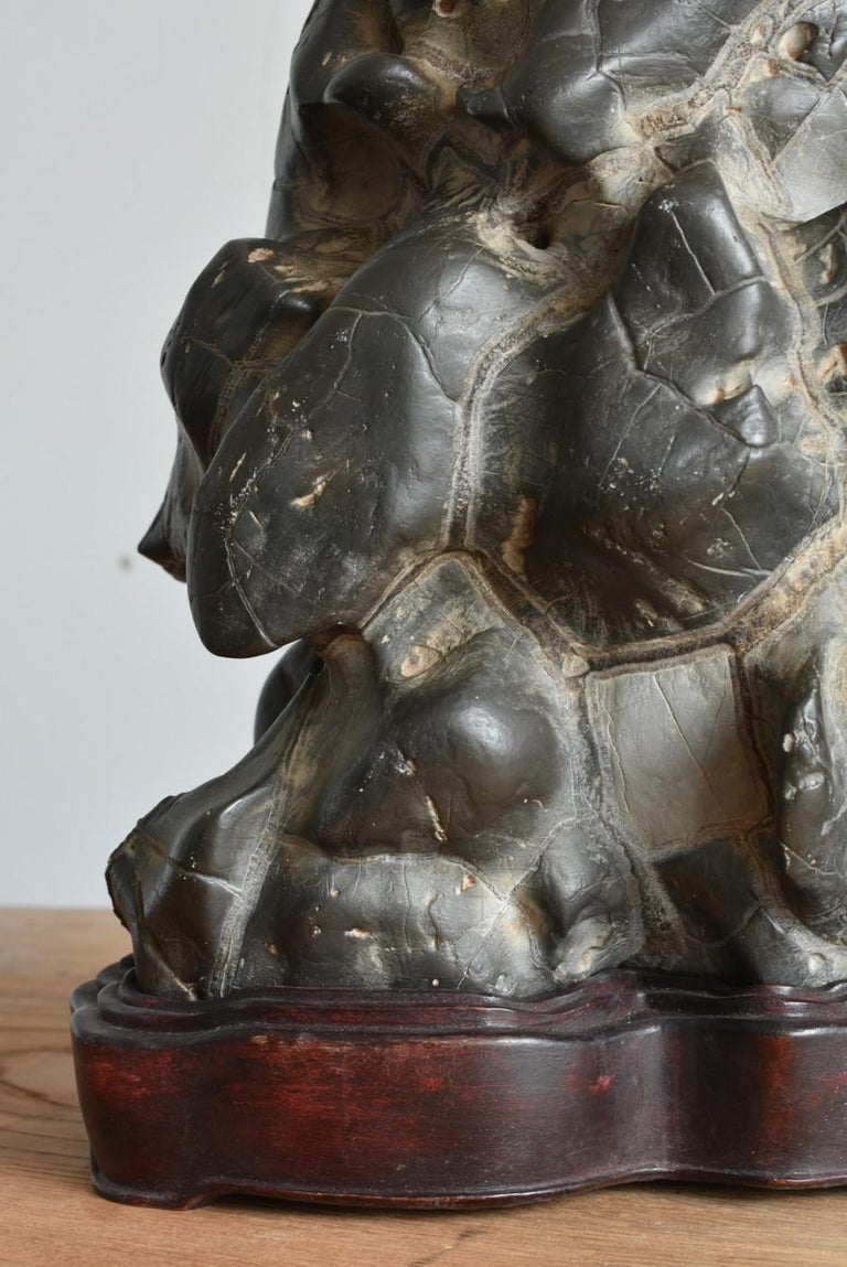 Old Japanese Scholar's Stone/Tortoise Shell Type Stone/Appreciation ...