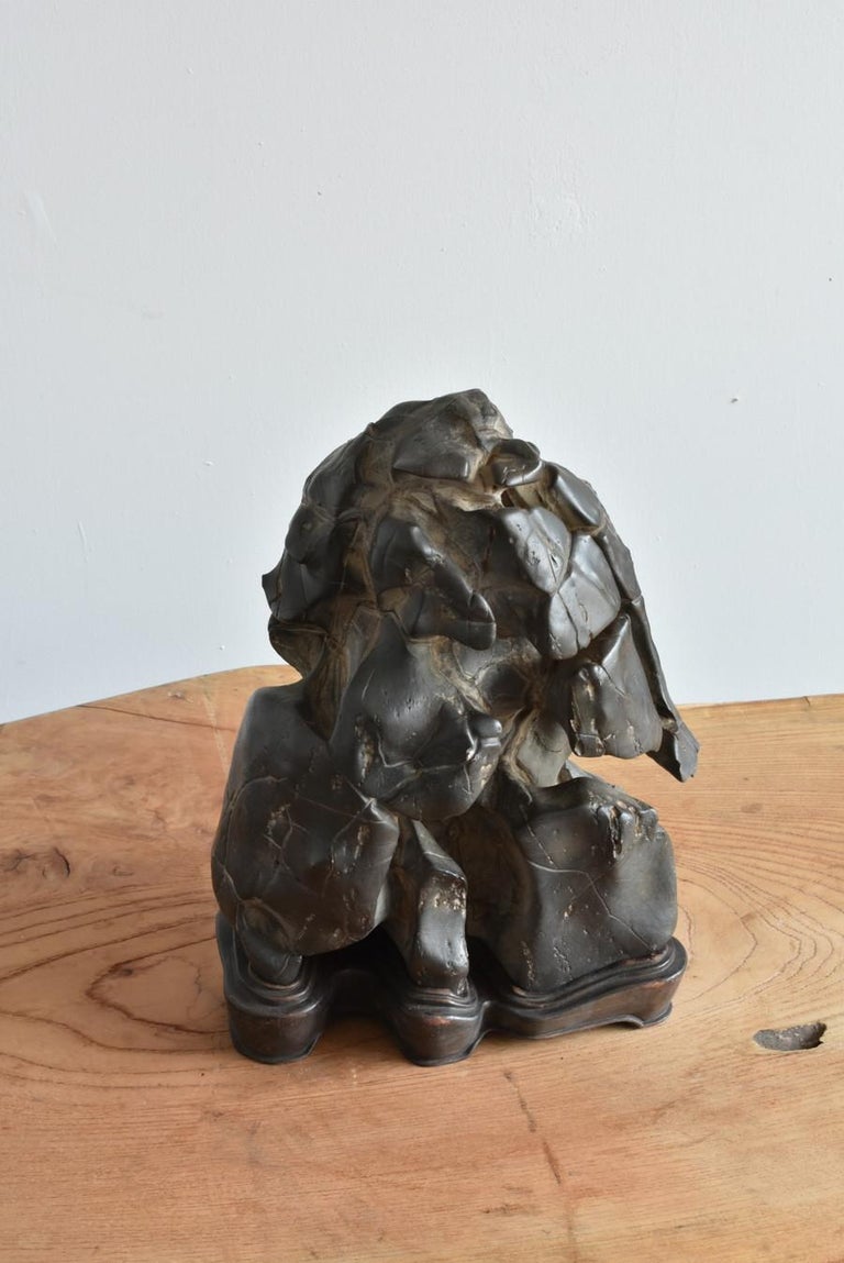 Old Japanese Scholar's Stone/Tortoise Shell Type Stone/Appreciation ...