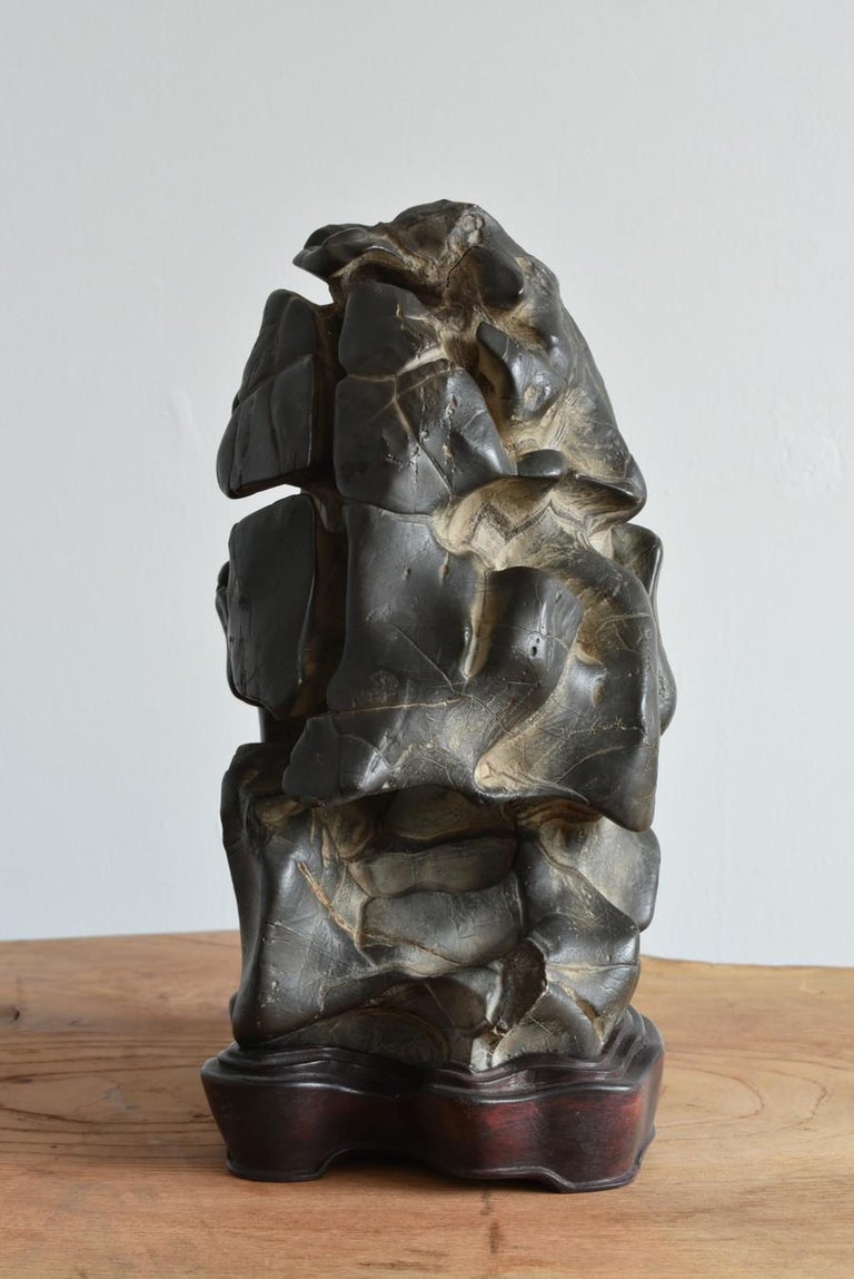 Old Japanese Scholar's Stone/Tortoise Shell Type Stone/Appreciation ...