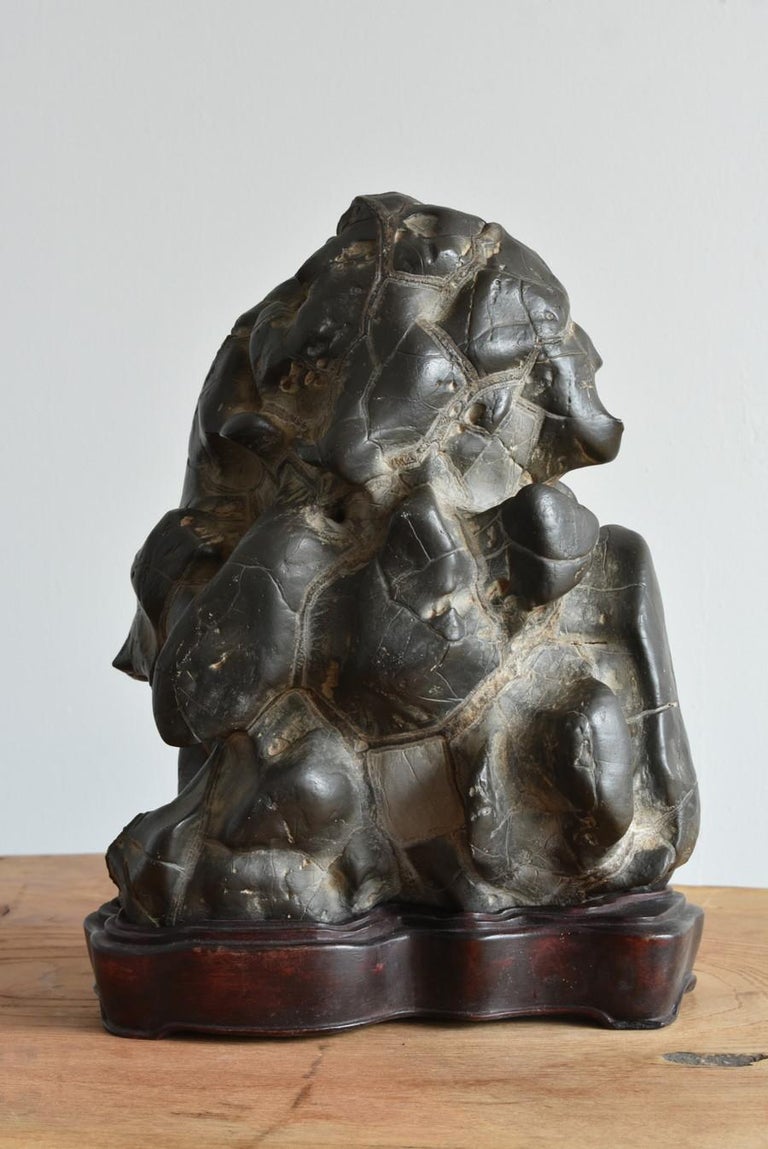 Old Japanese Scholar's Stone/Tortoise Shell Type Stone/Appreciation ...