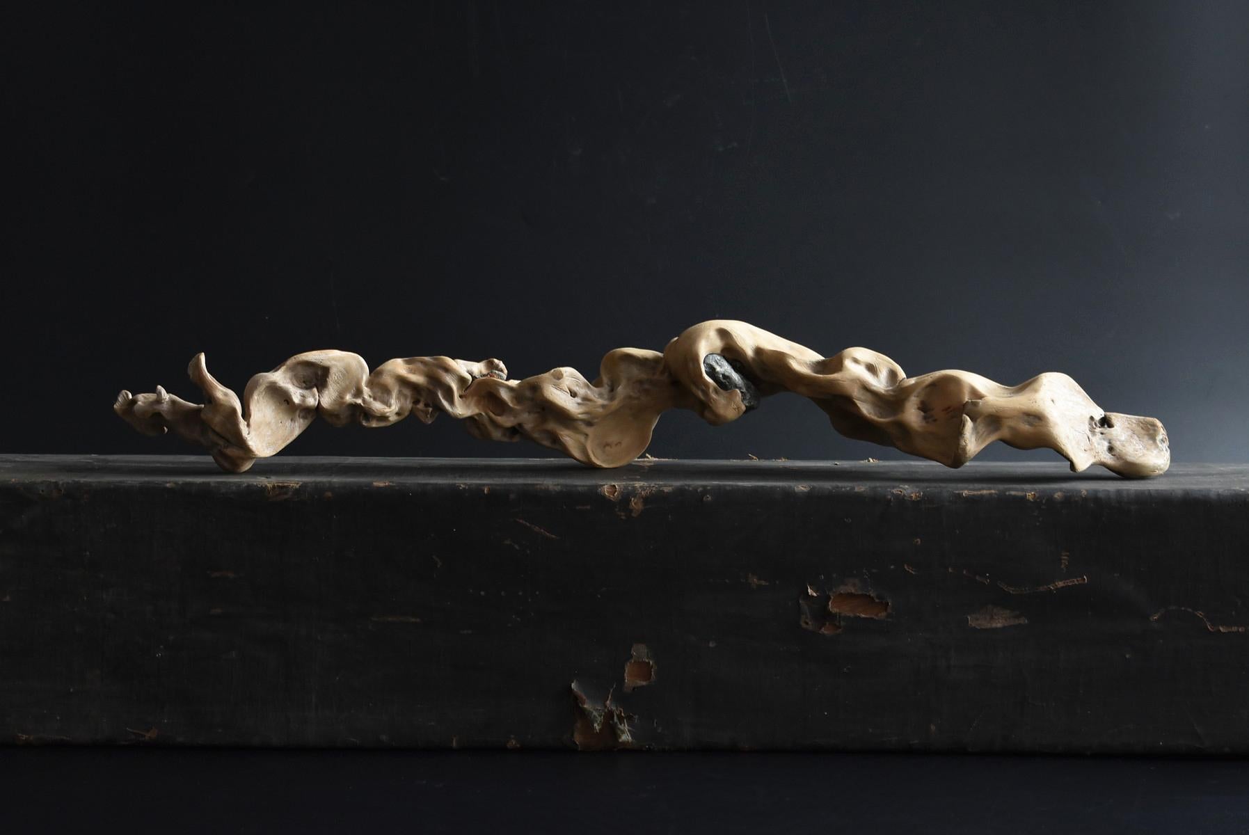 Old Japanese Tree Root Objects / Stone-Bearing Roots / Wall Decorations at 1stDibs | tree root decor