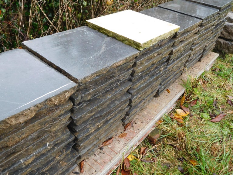 Belgian Blackstone, Noir de Mazy For Sale at 1stDibs | belgian black ...