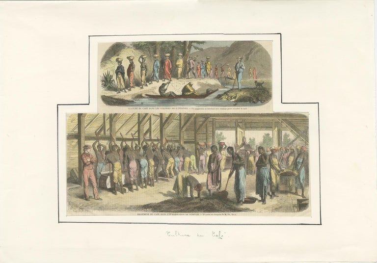 Old Print with Two Scenes of Slaves on a Coffee Plantation in Surinam ...