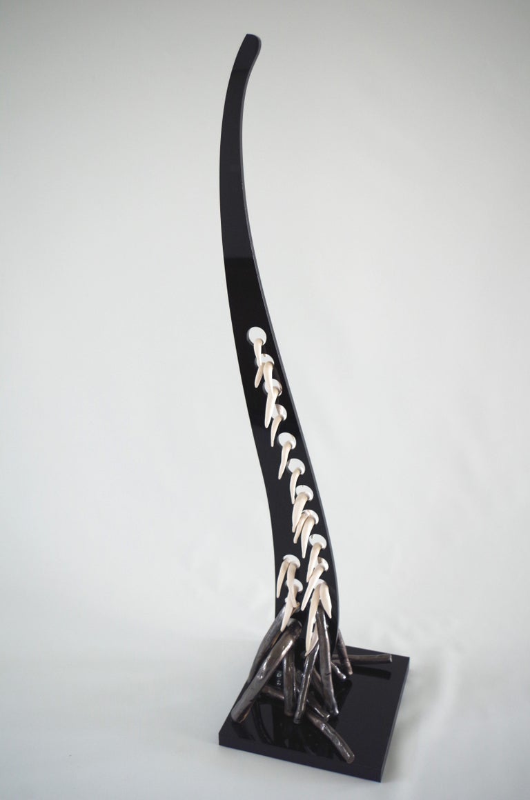Olesia Dvorak-Galik - Diplodocus For Sale at 1stDibs