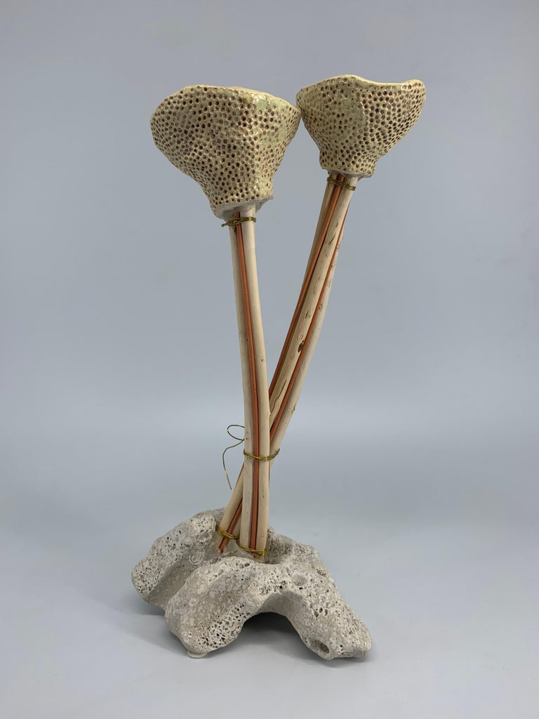 Olesia Dvorak-Galik - Two flowers on a stone, Mexico series For Sale at ...