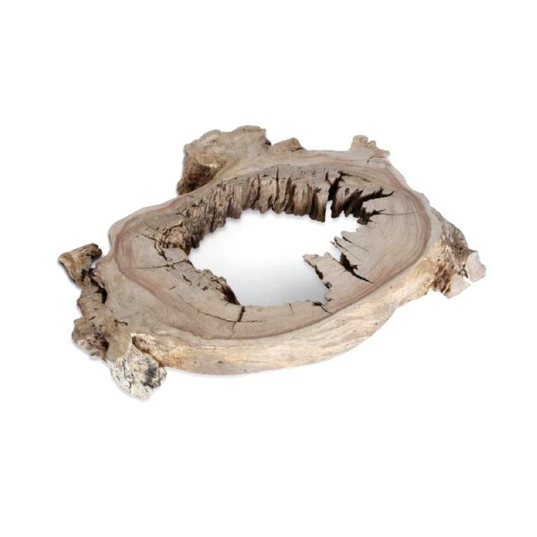 Wall Mirror with Olive Tree Frame, Unique Piece, Made in Italy For Sale ...