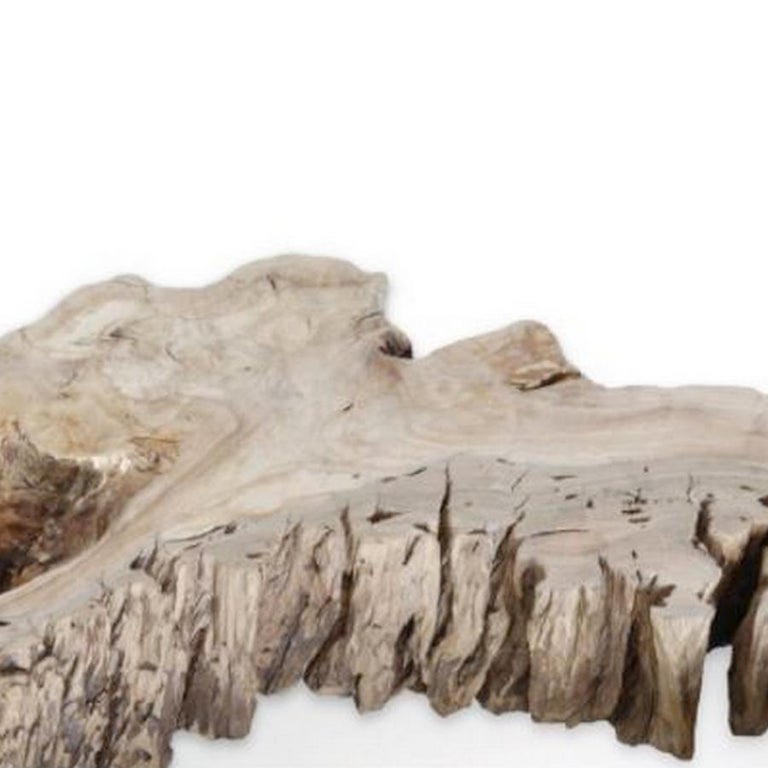 Wall Mirror with Olive Tree Frame, Unique Piece, Made in Italy For Sale ...