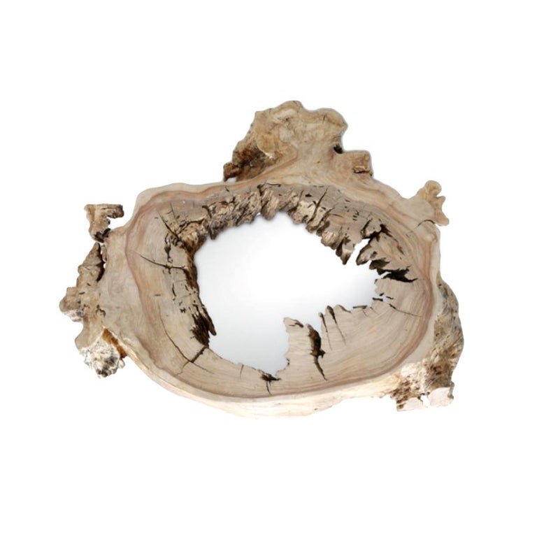 Wall Mirror with Olive Tree Frame, Unique Piece, Made in Italy For Sale ...