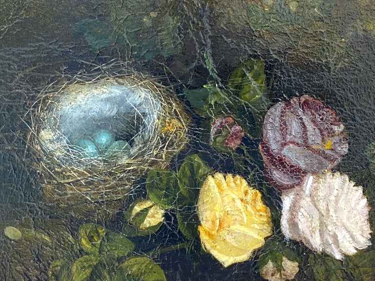 Oliver Clare - “Still Life with Bird’s Nest” For Sale at 1stDibs