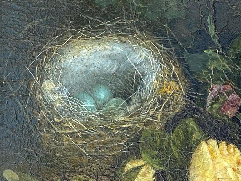 Oliver Clare - “Still Life with Bird’s Nest” For Sale at 1stDibs