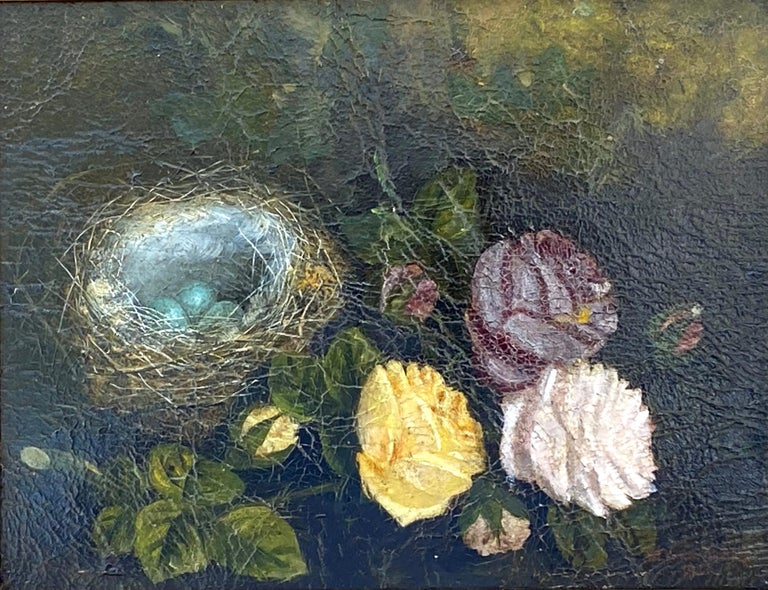 Oliver Clare - “Still Life with Bird’s Nest” For Sale at 1stDibs