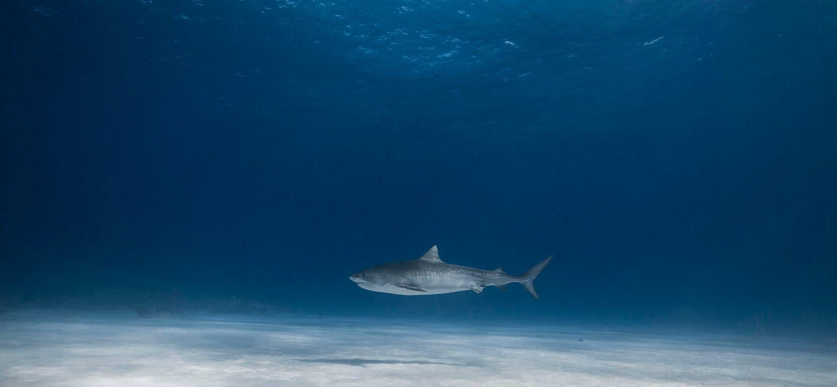 Roger Grasas - Wadi Rum - Fine Art Photography, Landscape, Contemporary ...