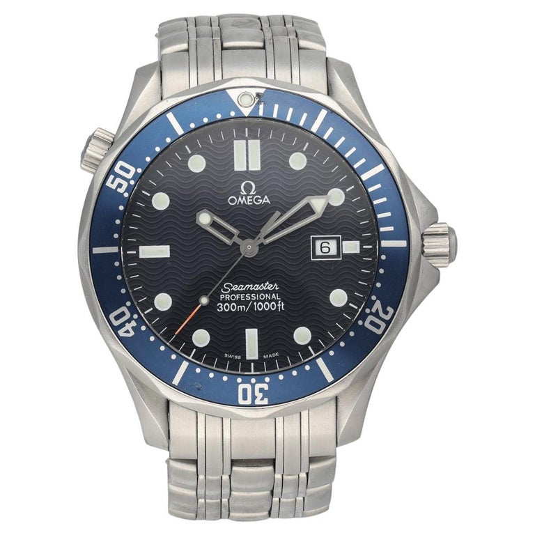 Omega Seamaster 2541.80.00 Mens Watch at 1stDibs